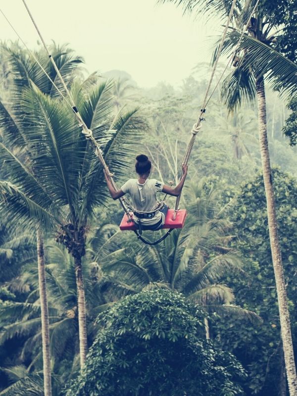 🤸‍♀Ziplining | Vacation in Tulum Luxury Vacation Rentals